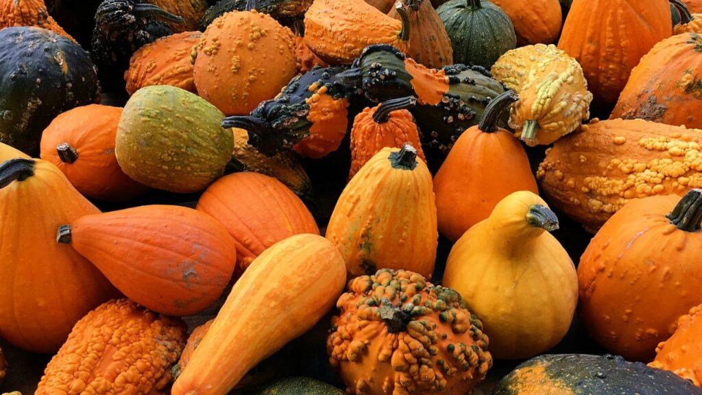 Quel tableau des variétés de courges pour bien les reconnaître ...